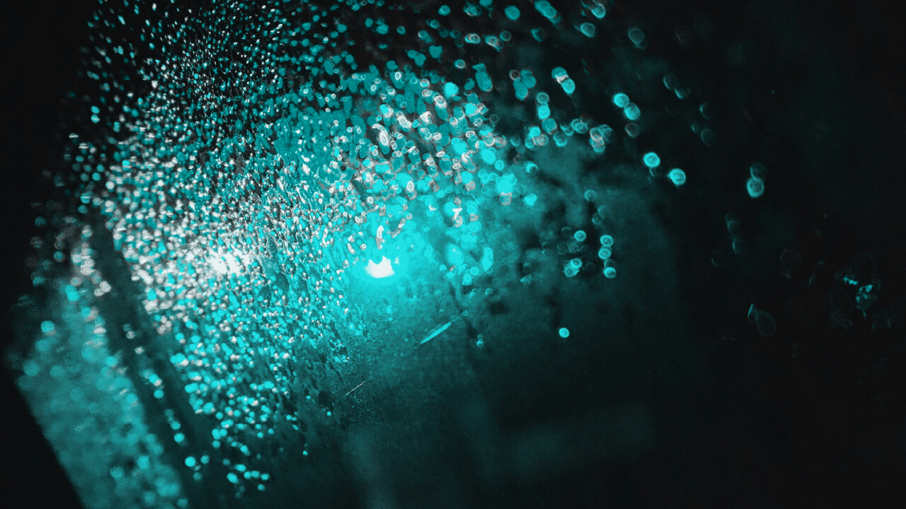 Publications - Merit